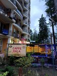 Dala (Guria, Ozurgeti Municipality, Ureki Urban-type Settlement, Ekvtime Takaishvili Street, 212), kafe