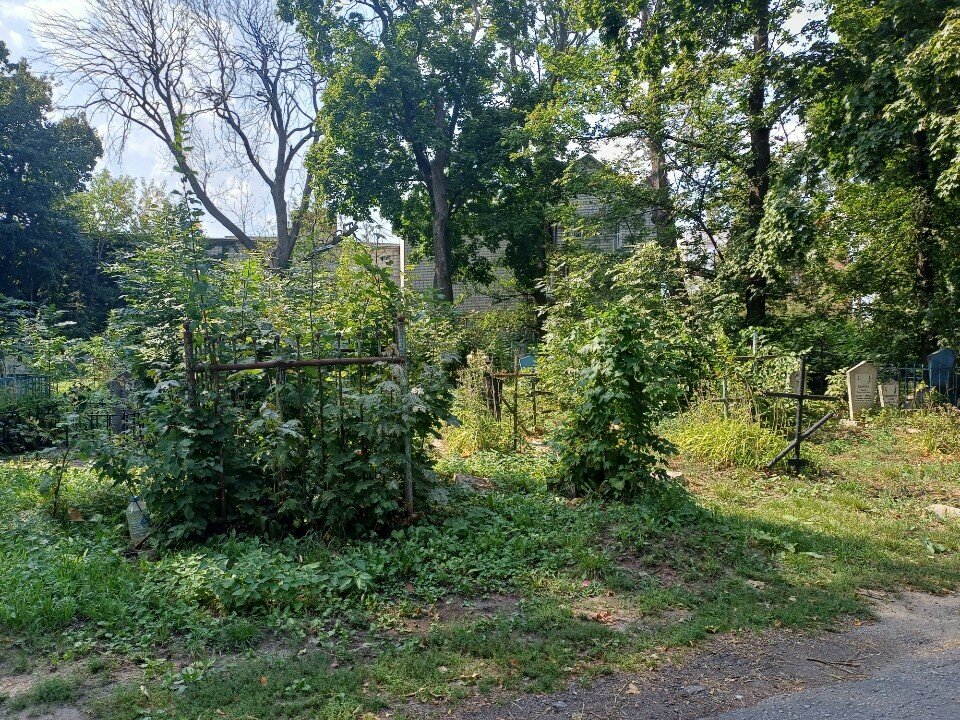 Mezarlıklar Old Jewish Cemetery, Lipetsk, foto