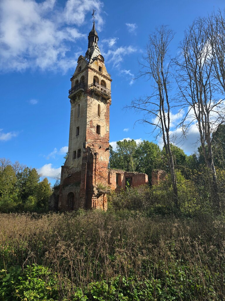 Turistik yerler Парк, бывшая усадьба Ф. И. Ванюкова Горки, Novgorodskaya oblastı, foto