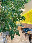 Ficus (ulitsa Geydara Aliyeva No:11), kahve dükkanları  Derbent'ten
