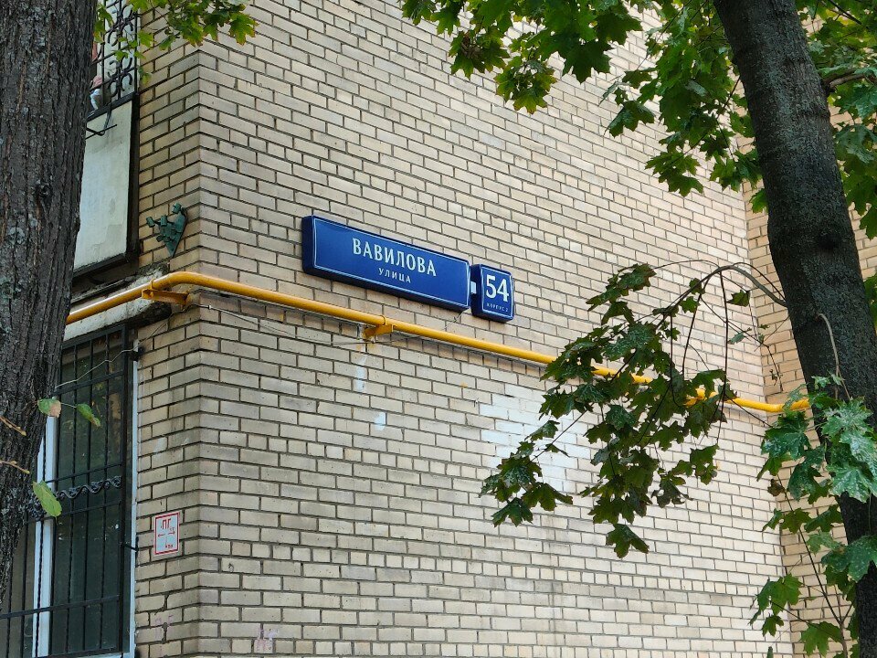 Bina, site yönetimi Товарищество собственников жилья Нефтяник, Moskova, foto