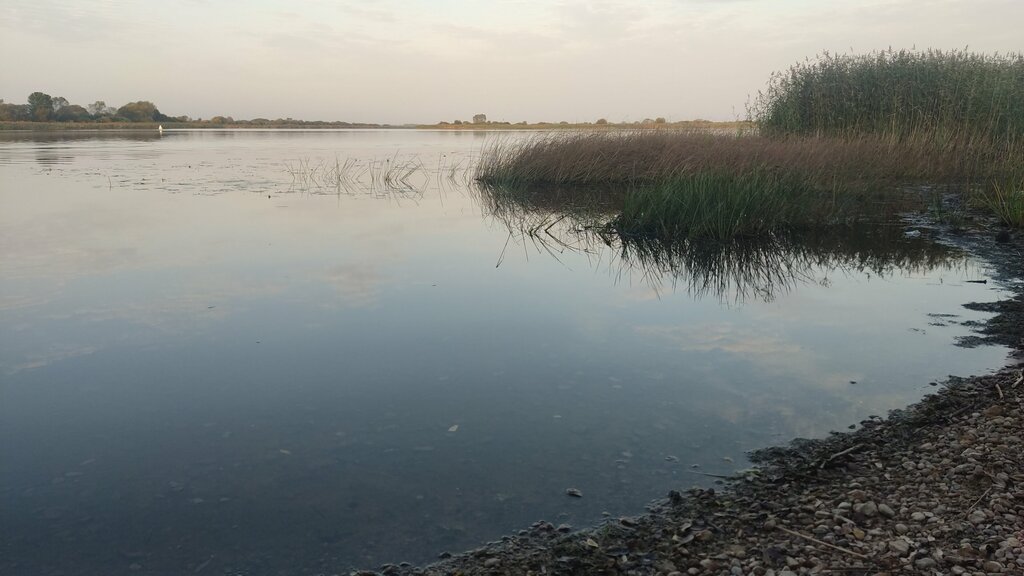 Plaj Пляж, Pskovskaya oblastı, foto