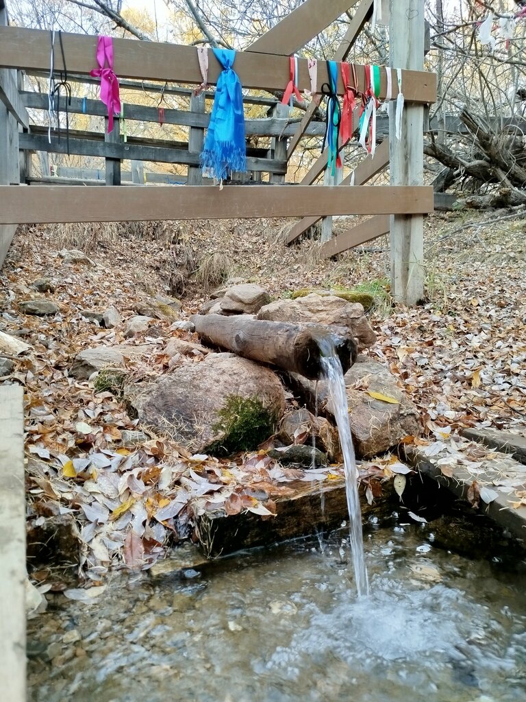 Pınar, çay Серебряный источник, İrkutskaya oblastı, foto