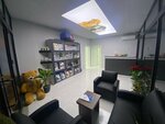 Kartepe Patika Veteriner Kliniği (Kocaeli, Kartepe, Emekevler Mah., Cengiz Topel Cad., 43B), veteriner klinikleri  Kartepe'den