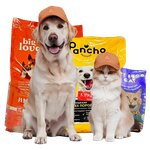 Pet Food (Greıder kóshesi No:10/1), evcil hayvanlar için ürünler  Öskemen'den (Ust‑Kamenogorsk'tan)