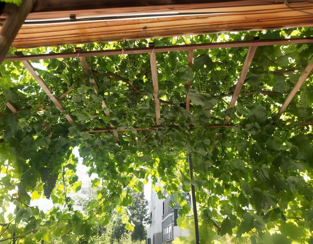 Restoran 19 Pide Kebap Sarayı, Ankara, foto