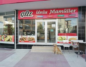 Gül Unlu Mamüller (Amasya, Merzifon, Mahsen Mah., Bahçelievler Sok., 4), ekmek fırını  Merzifon'dan
