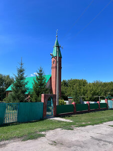 Мечеть (Ulyanovsk Region, Melekesskiy rayon, Ryazanovskoye selskoye poseleniye, posyolok Divny, ulitsa Chapayeva), cami  Ulyanovskaya oblastından