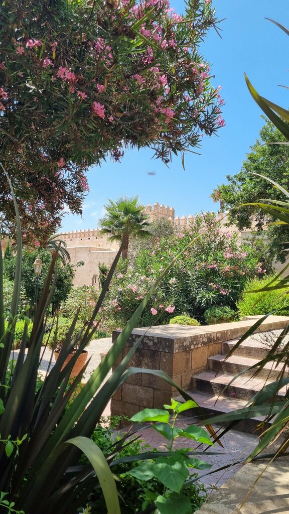 Bahçe Andalusian Garden, Rabat, foto