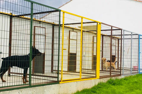 Pet otel Eskişehir Patişah Köpek Oteli ve Çiftliği, Eskişehir, foto