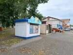 Snezhnyj gorodok (Kemerovo, Initsiativnaya ulitsa), dondurmacılar  Kemerovo'dan