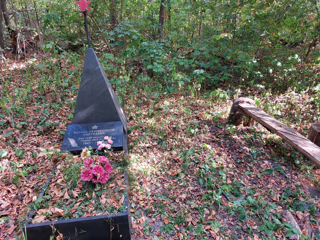 Anıt, heykel Могила неизвестного партизана, Brianskaya oblastı, foto