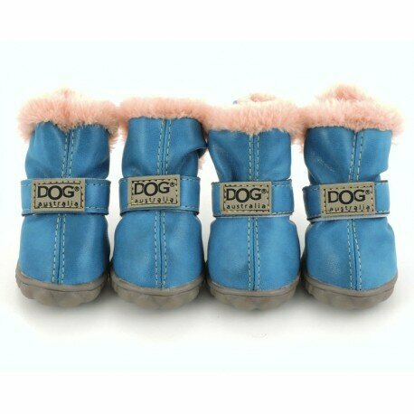 Petshop VafVaf, Moskova, foto