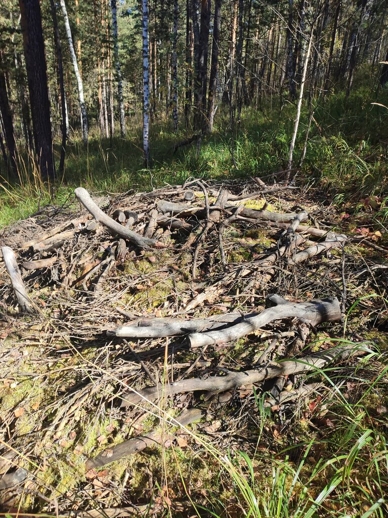 Turistik yerler Пещера Кадышская, Başkurdistan, foto