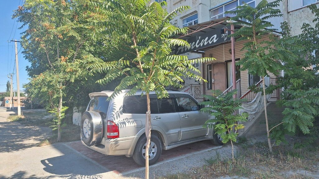 Güzellik salonu A'mina, Kızılorda, foto