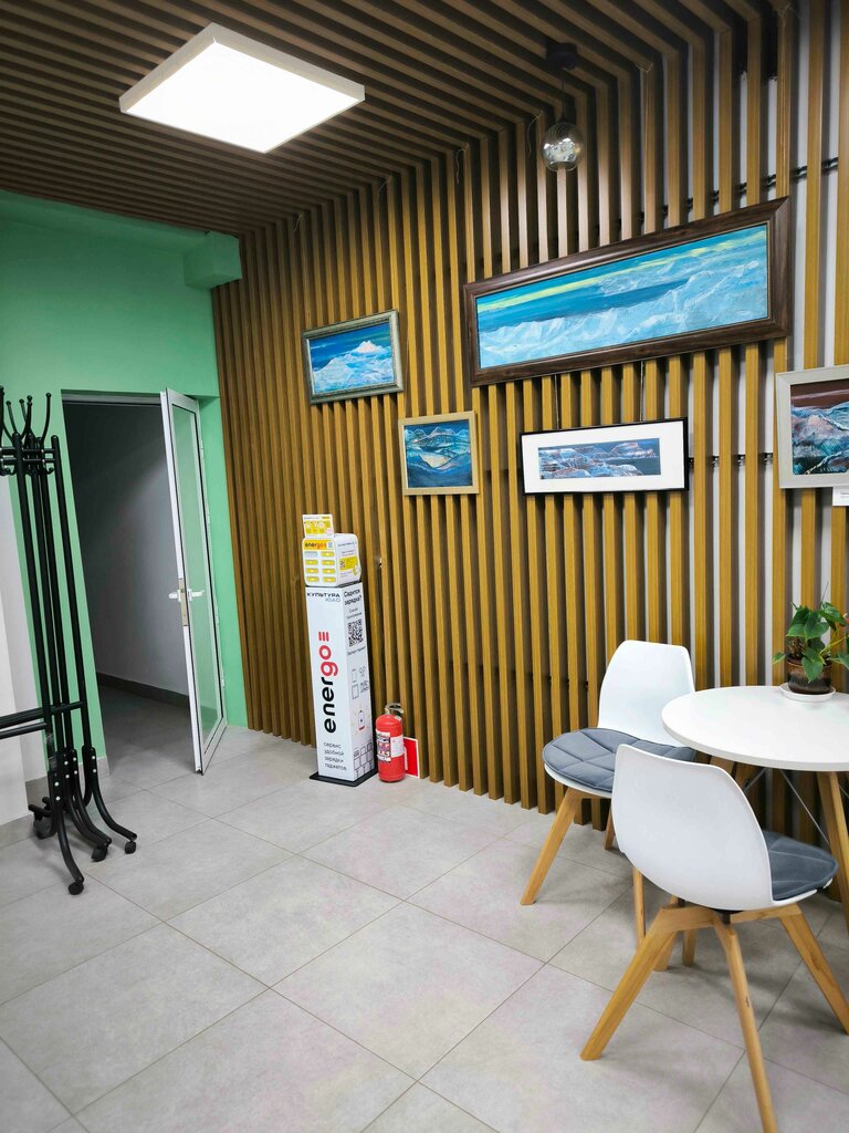 Şarj cihazı kiralama Energo, Moskova, foto