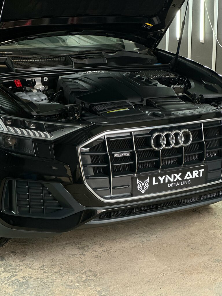 Detaylı oto bakımı LynxArt, Vologda, foto