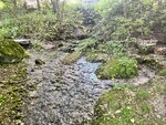 Spring, stream (Leningrad Region, Lomonosovskiy District, Ropshinskoye selskoye poseleniye, derevnya Bolshiye Gorki), pınar, çay  Saint‑Petersburg ve Leningradskaya oblastından
