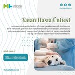 Metropolitan Hayvan Hastanesi (Taşpınar Mah., İncek Şehit Savcı Mehmet Selim Kiraz Blv., No:350, Gölbaşı, Ankara), veteriner klinikleri  Ankara'dan