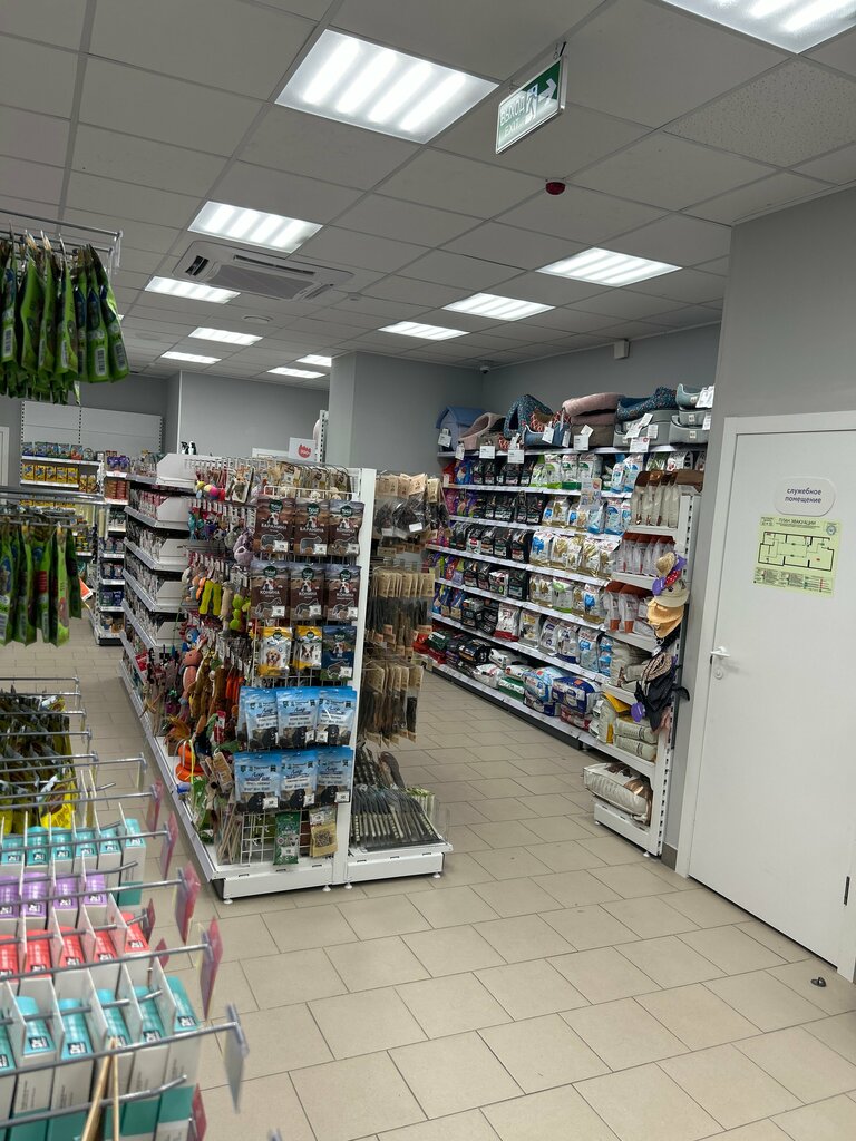 Petshop Зоозавр, Kaluga, foto