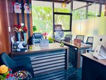 Pro Visa Uae (2/3, 26 Street, Hor Al Anz, Deira, Dubai), pasaport ve vize işlemleri  Dubai'den