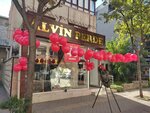 Alvin Perde (Selçukbey Cad., No:58, Yıldırım, Bursa), mefruşat  Bursa'dan