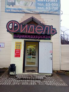 Фидель (Komsomolskaya ulitsa No:1), tütün, sigara mağazaları  Toguchin'den