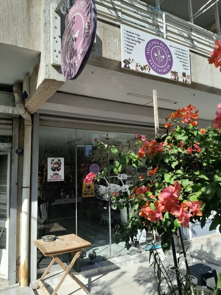 Evcil hayvan kuaförleri Pet Kuaför Adolpha Petsför Evcil Hayvan Bakım, İzmir, foto