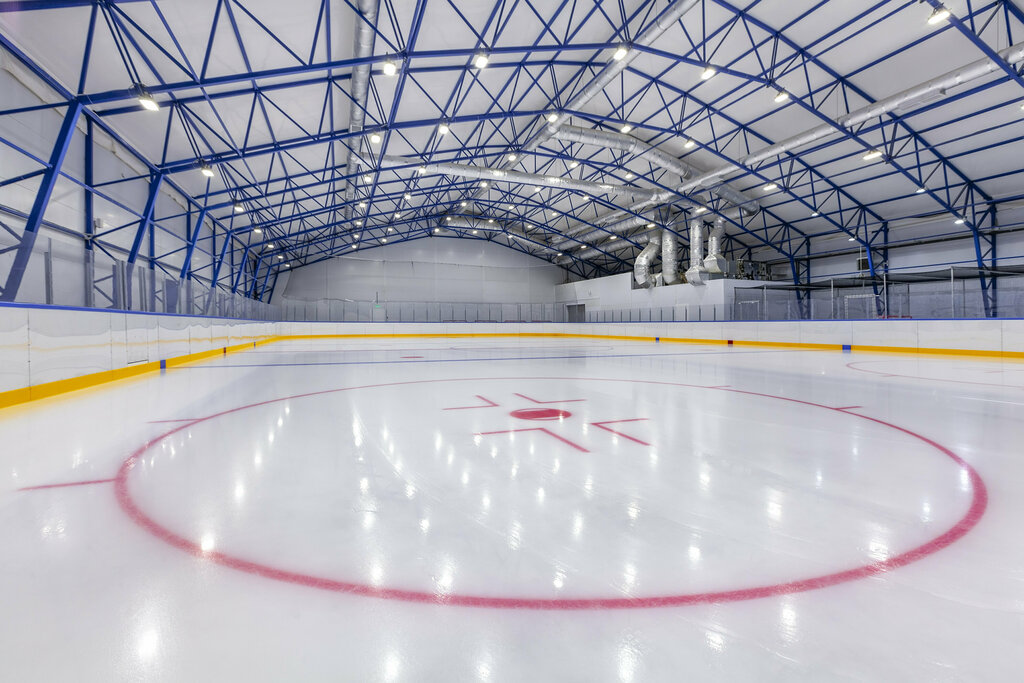 Spor okulları Ice Wings figure skating school, Moskova, foto