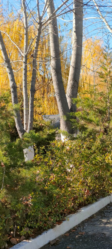 Yaz kampı Taldysu, building № 1, Kızılorda eyaleti, foto
