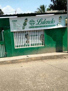 Barbearia e salão de Beleza Lulendo (Luanda Province, Municipality of Luanda, Inorade), kuaförler  Loanda'dan