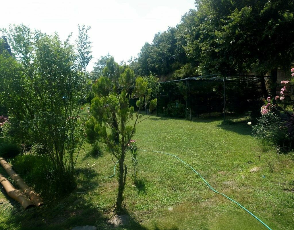 Piknik alanı İpelyolu Mesire Alanı, Şile, foto