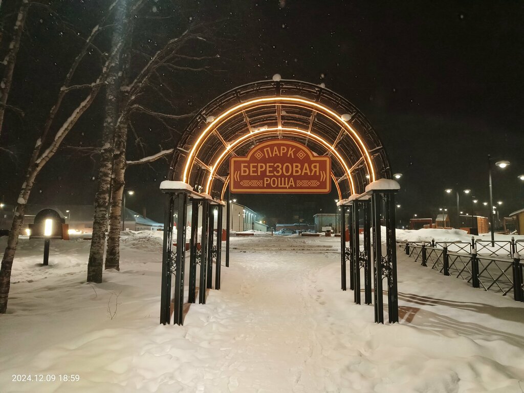 Kültür ve eğlence parkları парк Берёзовая роща, Sosnogorsk, foto
