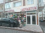 Aleyna Akvaryum Petshop (Ankara, Sincan, Mareşal Çakmak Mah., Şirin Sok., 6), petshop  Ankara'dan