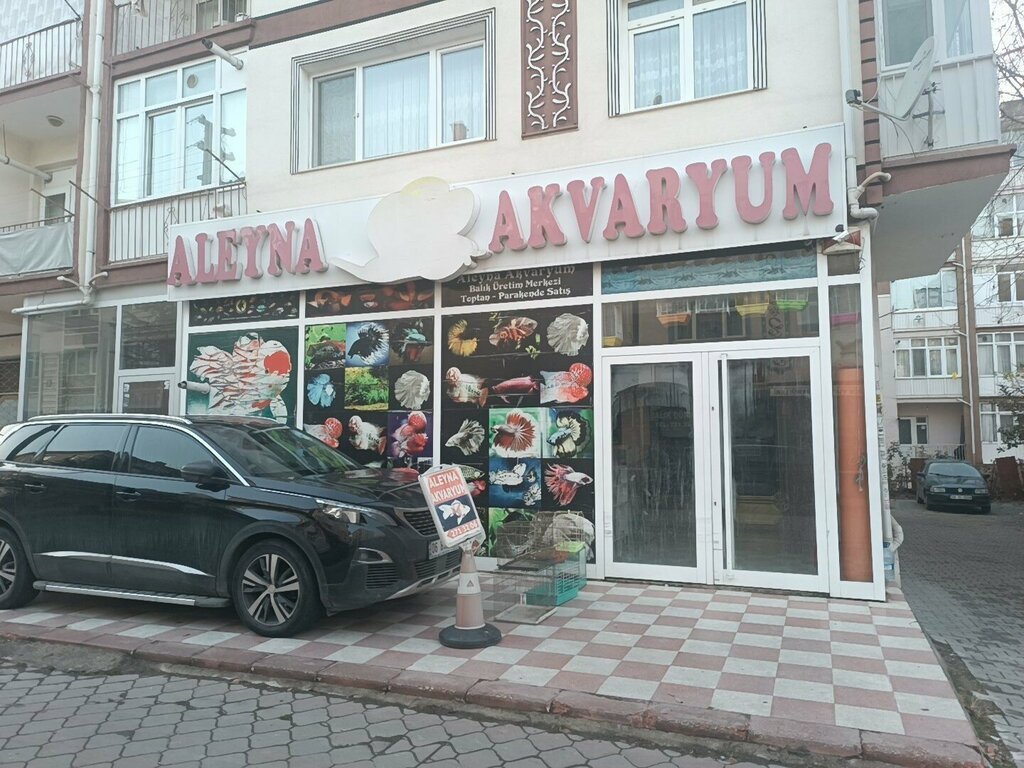 Petshop Aleyna Akvaryum Petshop, Ankara, foto