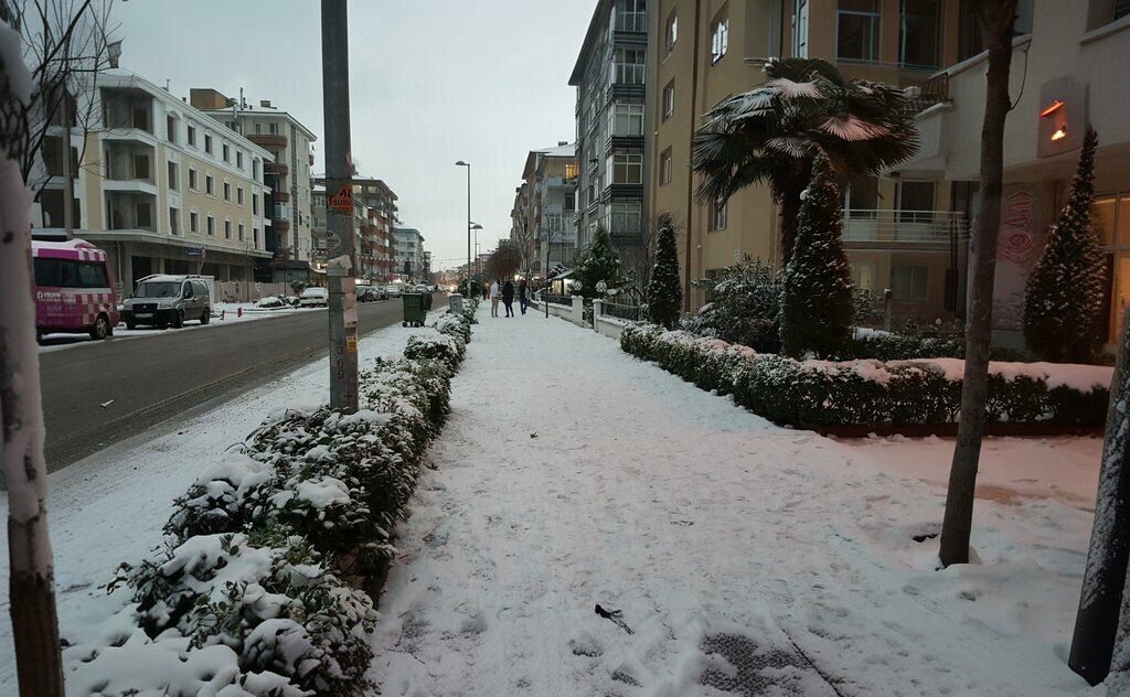 Emlak ofisi Seçkin Emlak, Yalova, foto