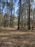 Лесная сказка (Chelyabinsk Region, 75K-021, 5-y kilometr), resort oteller, tesisler  Çebarkul'den