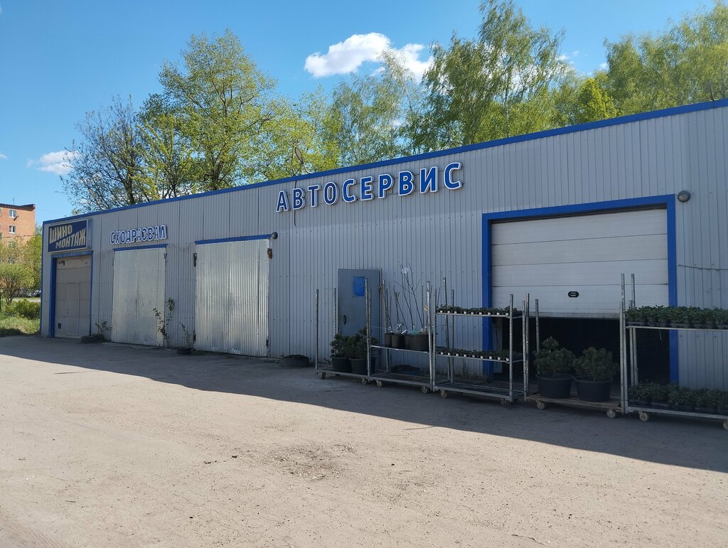 Otomobil servisi Автосервис, Pavlovski Posad, foto