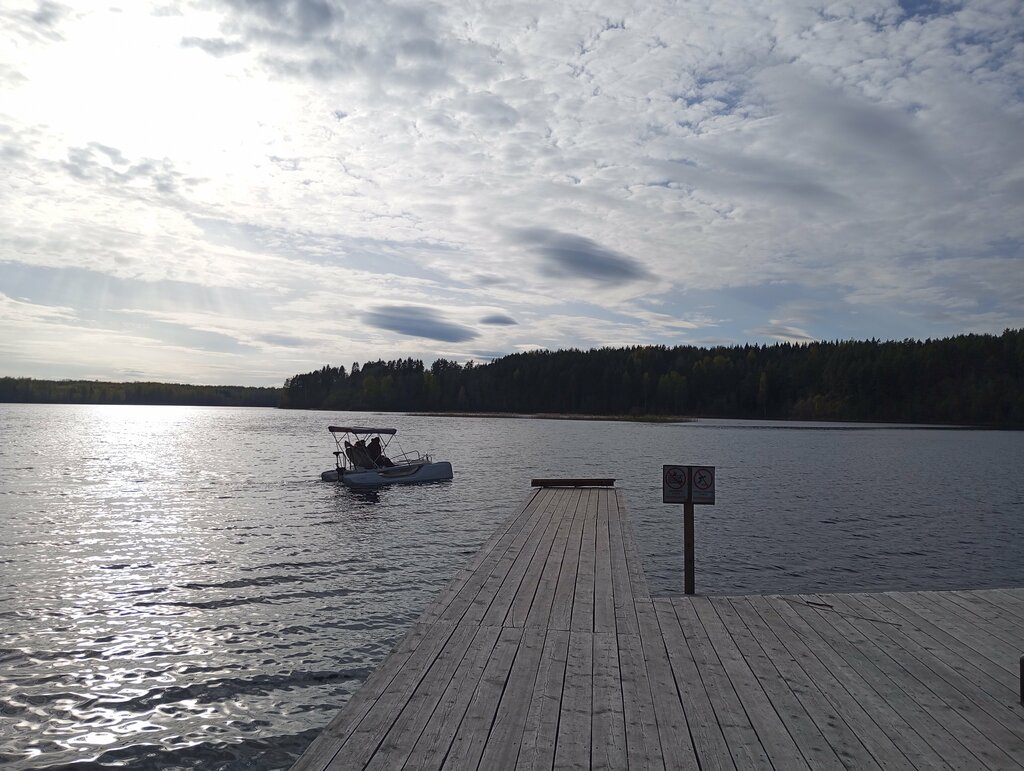 Piknik alanı Место для пикника, Novgorodskaya oblastı, foto