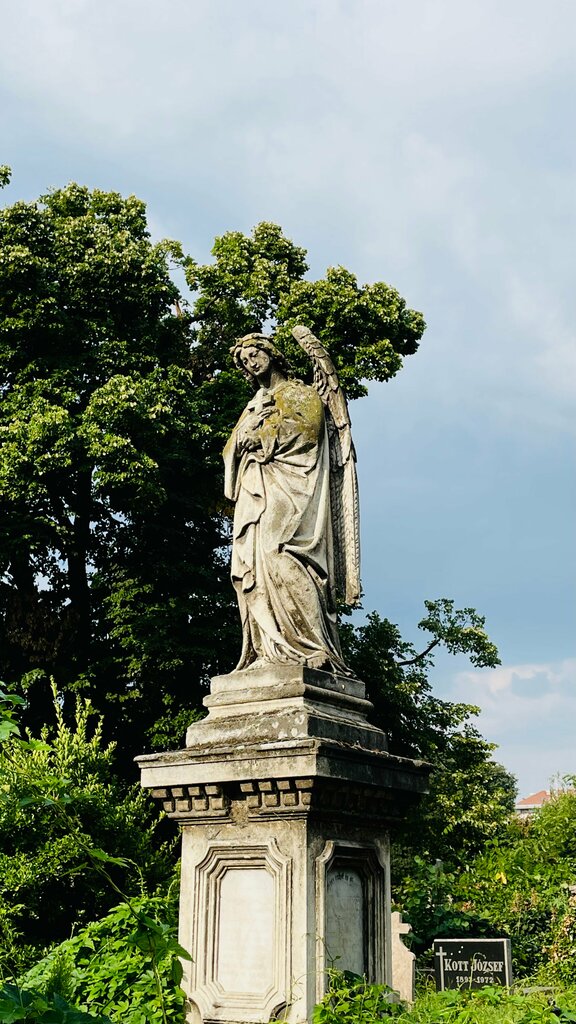 Mezarlıklar Католичко гробље, Novi Sad, foto