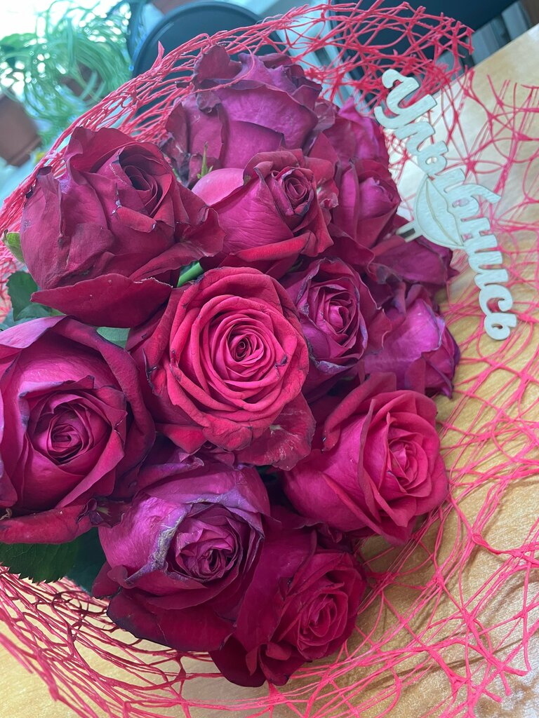 Çiçekçiler Цветы Удмуртии, Sarapul, foto