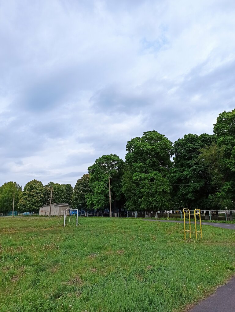 Spor alanı Sports ground, Şçigry, foto