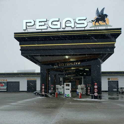 Benzin istasyonu Gas Station, Buhara eyaleti, foto