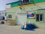 Aktau Fruit 45 (No:19, 25-shi shaǵyn aýdan), manavlar  Aktav'dan