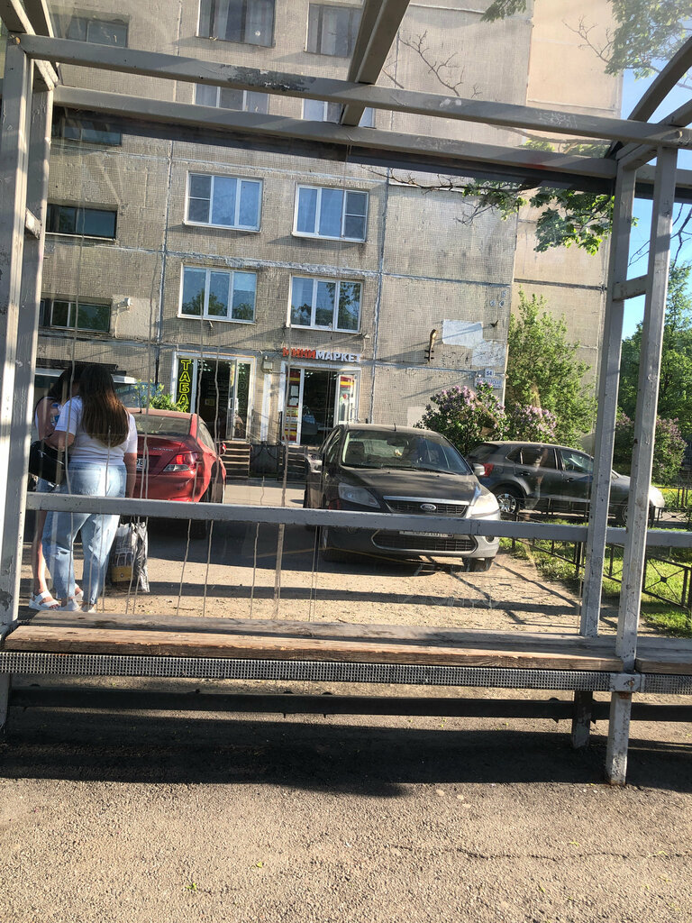 Toplu taşıma durağı Бульвар Трудящихся, Kolpino, foto