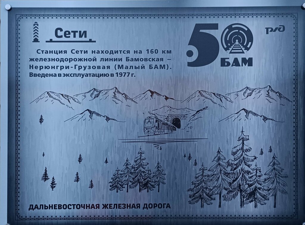 Tren istasyonu Сети, Amursk Bölgesi, foto