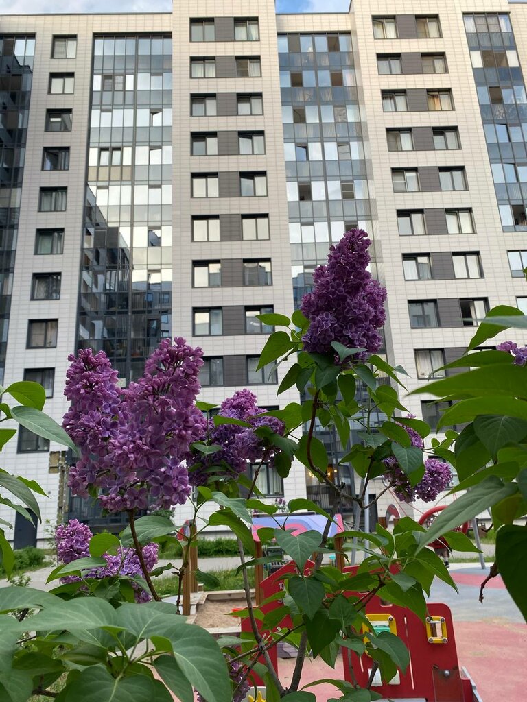 Kısa süreli konaklama V gosti V Peterburg, Saint‑Petersburg, foto