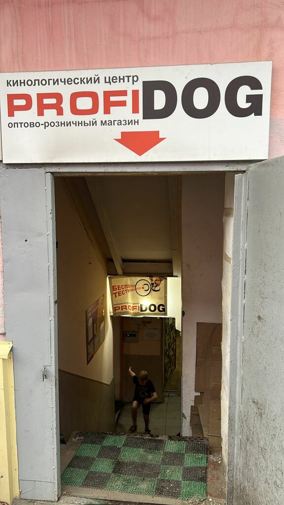 Köpek hizmeti ProfiDog, Penza, foto