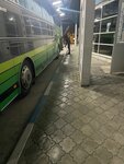 Gal Trans (strada Mitropolit Varlaam No:58), otobüs taşımacılığı  Kişinev'den