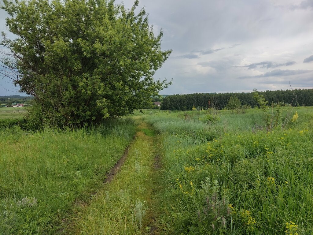 Seyir terası Смотровая площадка, Lipetskaya oblastı, foto